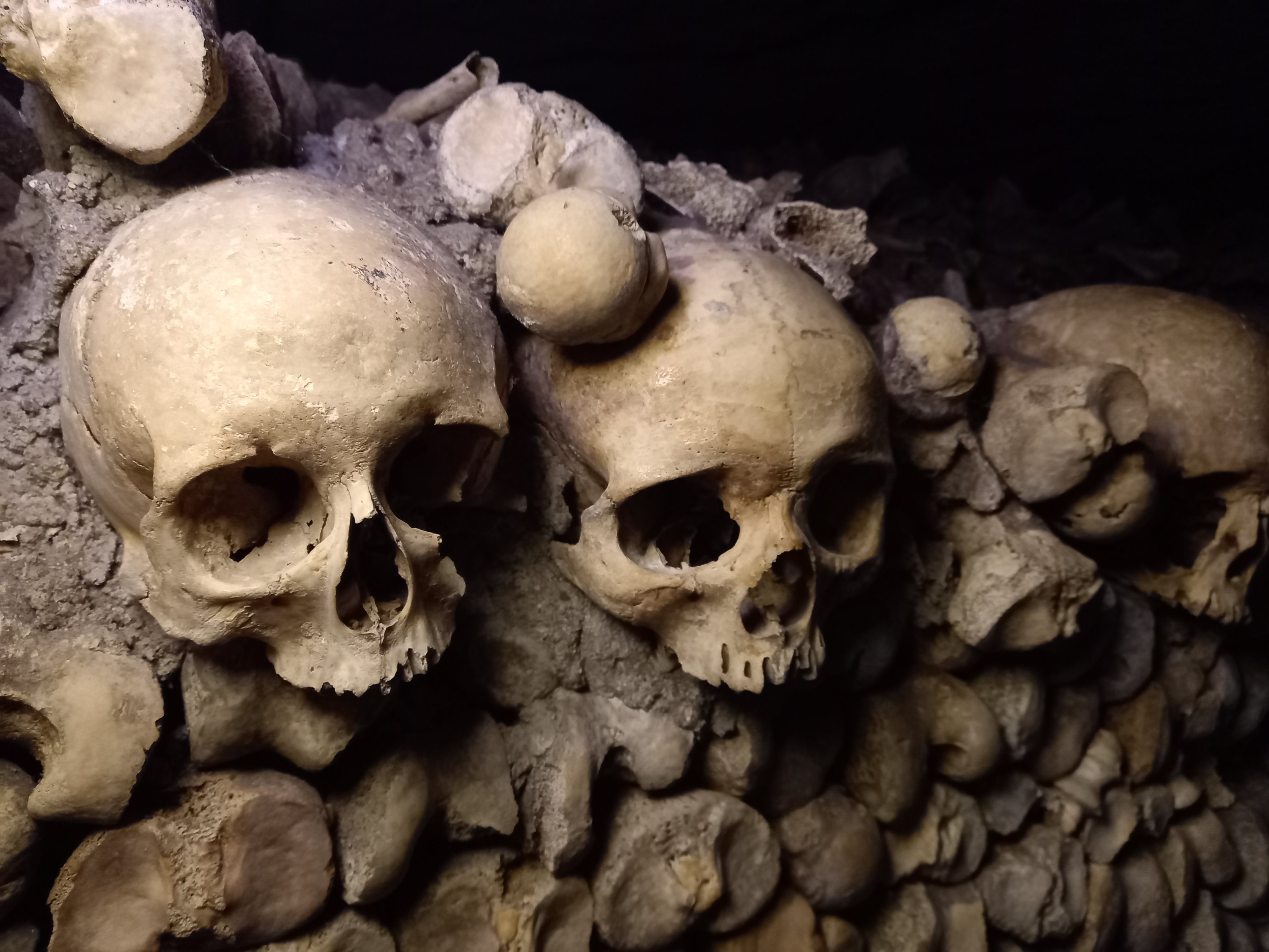 Jeux paralympiques Paris 2024... J2 : épreuve paralym-pluique ! - Site ...