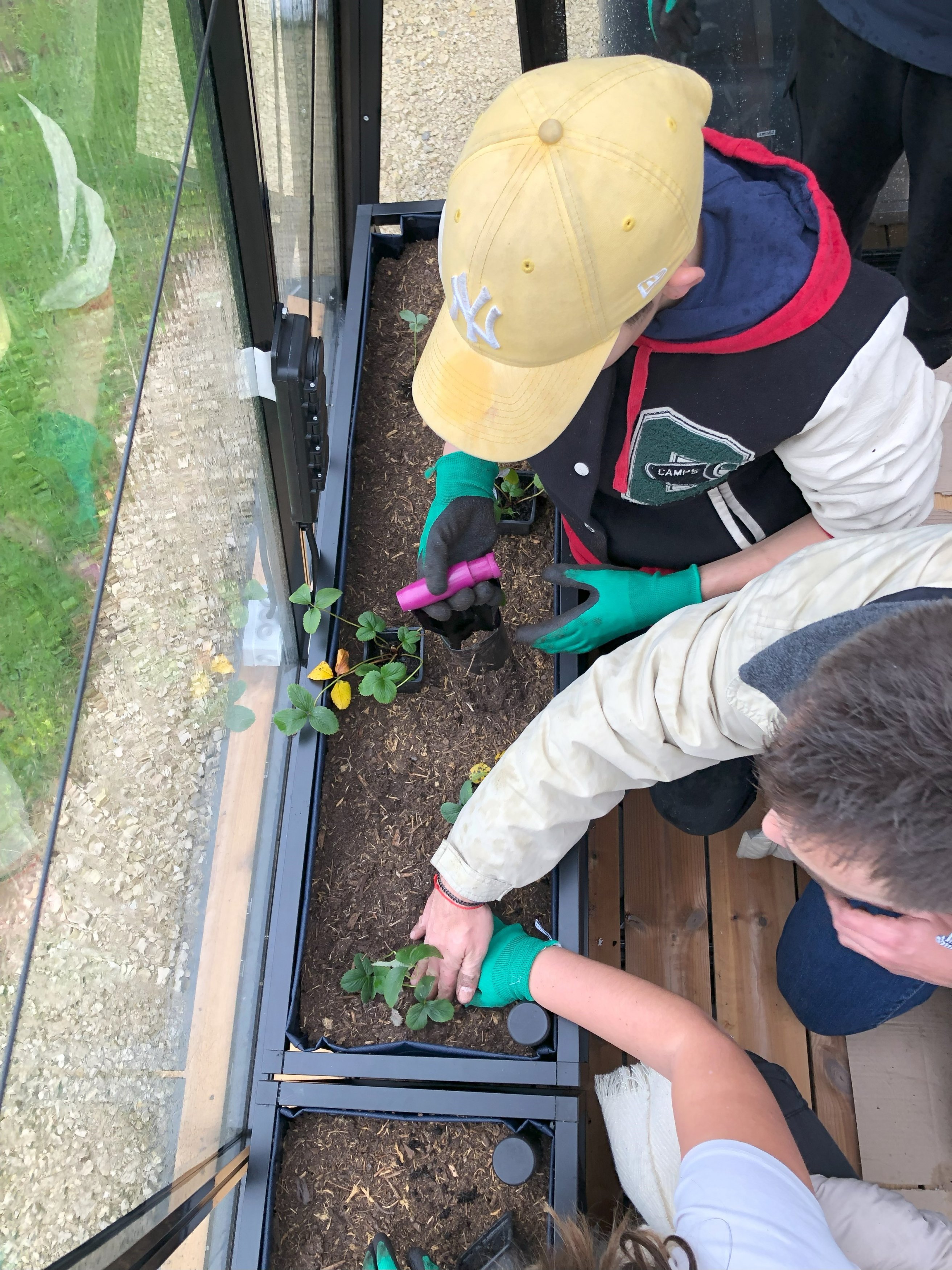 Serre pédagogique - Site du collège de l'Argentor (Champagne-Mouton ...