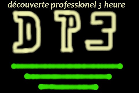 Réalisation du logo officiel de la DP3 - Collège Saint Exupéry - 86130 ...