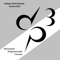 Réalisation du logo officiel de la DP3 - Collège Saint Exupéry - 86130 ...