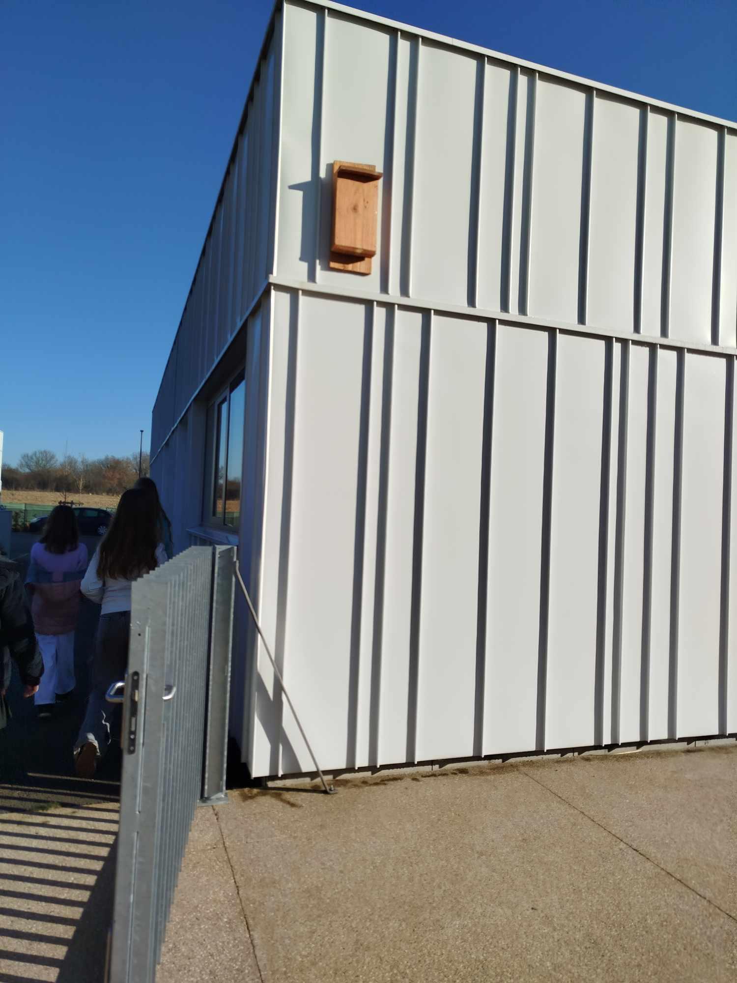 Des gîtes pour les chauves-souris au collège ! - Collège Joséphine ...