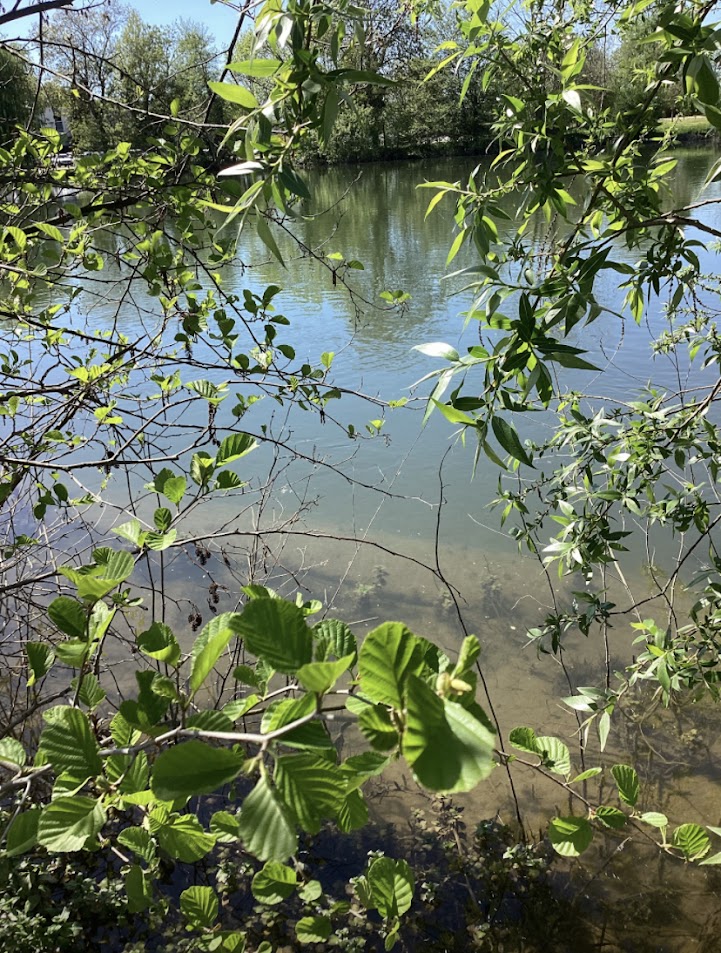 Photographies artistiques sur le thème du Reflet réalisées par les 4C ...