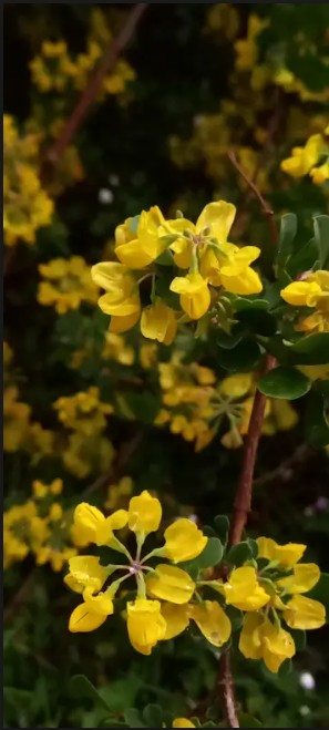 Les 3F en immersion artistique dans un jardin remarquable! - Collège ...