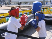 Boxe éducative - Site du collège Pierre et Marie Curie (Niort ...