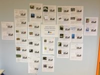 Les cartes d'identité des espèces menacées réalisées par les 5e5 ...