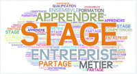 STAGES en 3ème et STAGE de PRéPROFESSIONNALISATION - Site du collège Pierre Loti de Rochefort ...